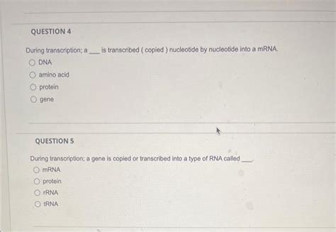 Solved What Is The Function Of RNA Polymerase Synthesizes Chegg Com