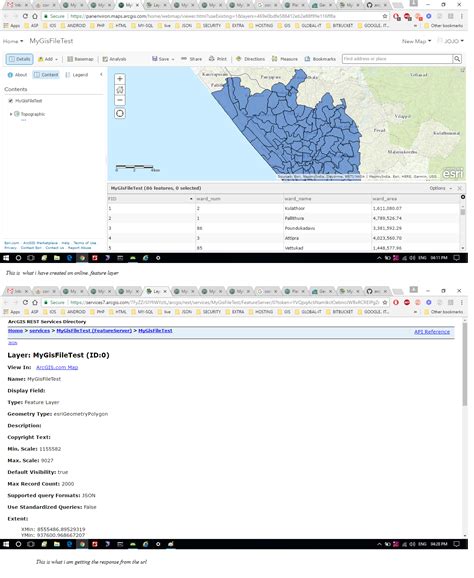 Arcgis Online Comesriarcgisruntimearcgisruntimeexception Invalid
