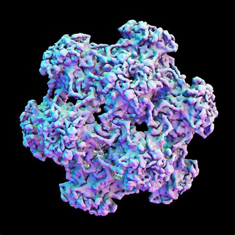 Hpv Like Particle Molecular Model Photograph By Pasieka Fine Art America