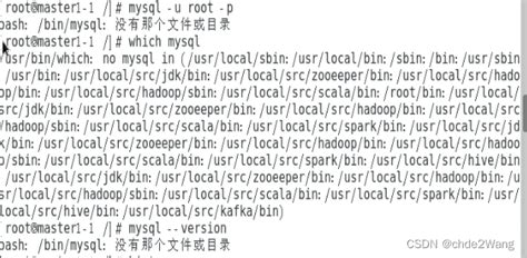 进入mysql报错：bash： bin mysql：没有那个文件或目录 sudo systemctl restart mysql报没有这个目录