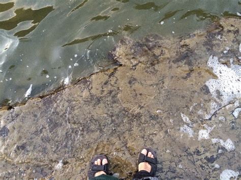 Programming For Particle Physics Monte Carlo Simulations And Markov