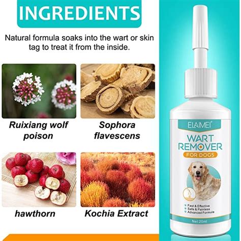 Tratament Profesional Pentru Indepartarea Negilor Cainilor Fara