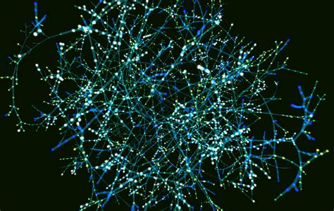 Hack The Planet Beneficial Distractions