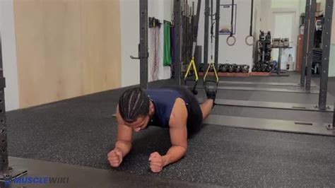 Trx Forearm Plank Exercise Guide Abdominals Workout Musclewiki