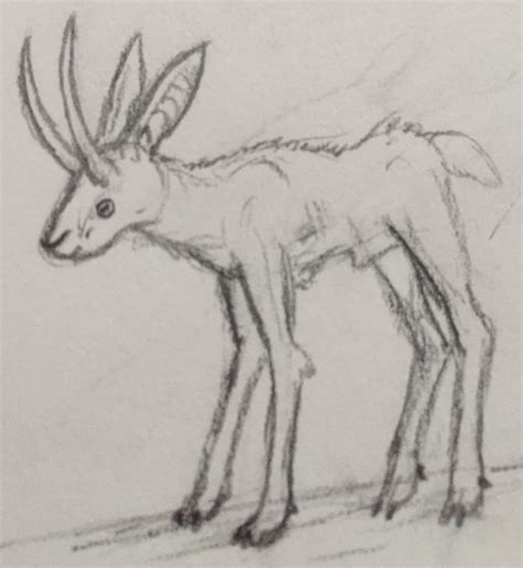 Discover More Like Speculativeevolution Future Rabbit And Related