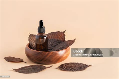 노화 방지 혈청 또는 베이지 색 배경에 갈색 잎이있는 나무 그릇에 피펫이 달린 유리 병에 화장품 정면도 가을 단풍에 대한 스톡 사진 및 기타 이미지 Istock