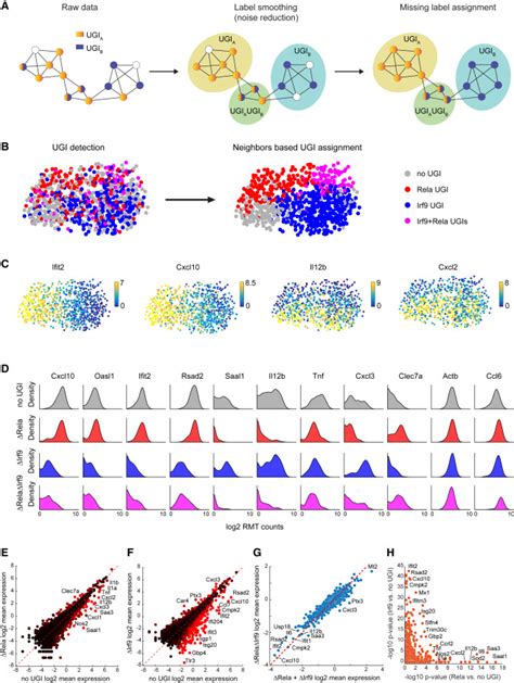 Dissecting Immune Circuits By Linking CRISPR Pooled Screens With Single Cell RNA Seq Cell