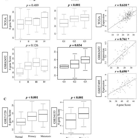 Association Of The Four Gene Score With Cell Proliferation And Download Scientific Diagram