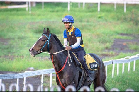 Mauritius Turf Club Mtc 𝑹𝒂𝒎𝒆𝒔𝒉𝒘𝒂𝒓 𝑮𝒖𝒋𝒂𝒅𝒉𝒖𝒓 𝑺𝒕𝒂𝒃𝒍𝒆 𝒍𝒐𝒔𝒆𝒔 𝑫𝒆𝒔𝒆𝒓𝒕 𝑻𝒉𝒊𝒆𝒇 𝒕𝒐 𝒂 𝒄𝒐𝒍𝒊𝒄 The