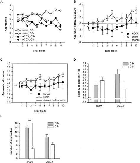 Figure 5 From Role Of The Anterior Cingulate Cortex In The Control Over