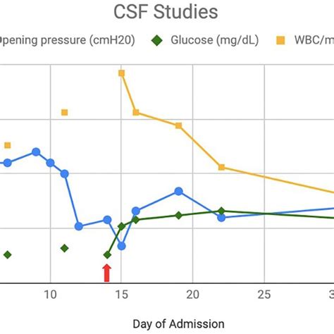 Cerebrospinal Fluid Csf Studies Csf Opening Pressure Glucose And Cerebrospinal Fluid Csf Studies Csf Opening Pressure Glucose And