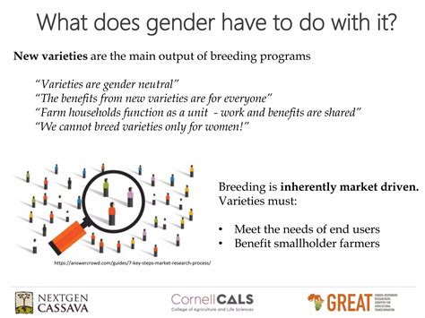 gender responsive breeding and product profiles developing gender