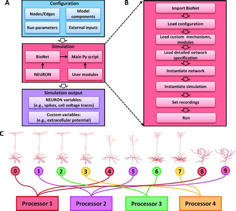 Running Simulations A Relationships Among Various Elements Involved Download Scientific