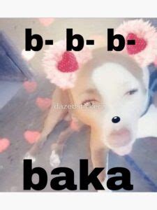 Baka El Significado Oculto Del Insulto Del Anime Citygame