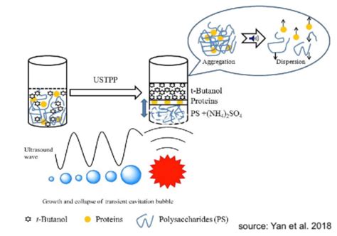 Ultraschall Gestützte Three Phase Partitioning