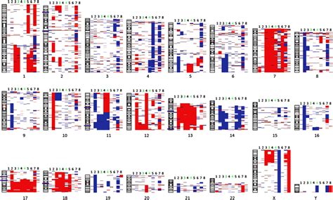 Compilation Of Single Nucleotide Polymorphism Array Results For The