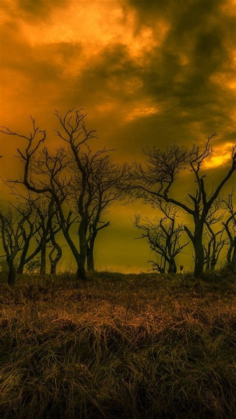 Wallpaper Dusk Grass Trees Clouds Autumn 1920x1200 Picture Image