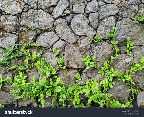 Stone Cladding Retaining Wall Over 86 Royalty Free Licensable Stock