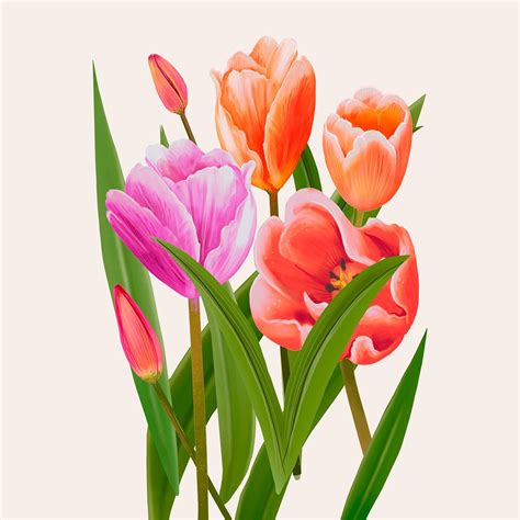 Illustration Drawing Of Tulip Flowers Royalty Free Stock Vector 400809