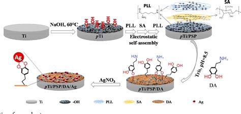 Figure 1 From Poly L Lysine Sodium Alginate Coating Loading Nanosilver For Improving The