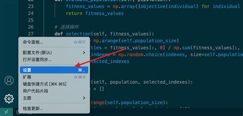 Vscode如何快速打开用户的 Settingsjson 文件vscodesetting Json在哪里 Csdn博客