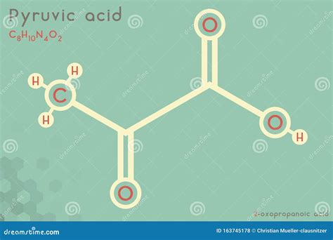 Pyruvic Acid Pyruvate Molecule Important Intermediate In A Number Of Biochemical Processes