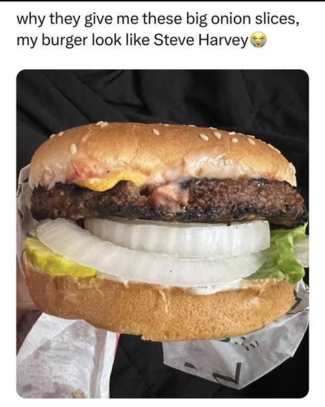 Harvey Steve Memes