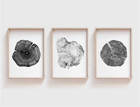 Set Of Three Prints Set Of 3 Prints Set Tree Prints Tree Etsy