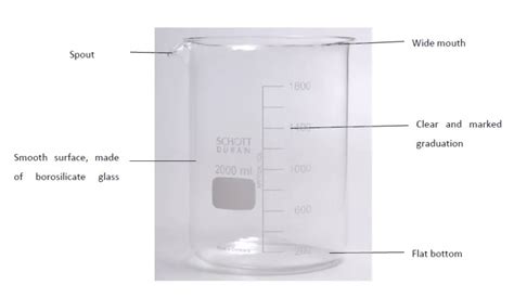 Beaker Features Types And Applications • Microbe Online