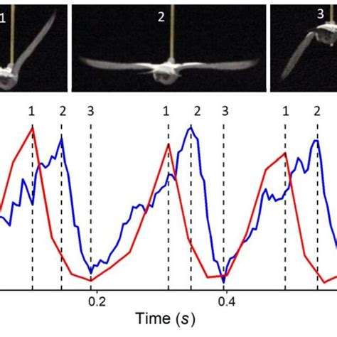 Comparison Of The Accelerometer Blue And Magnetometer Red Signals