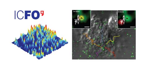 Postdoctoral Research Position In Quantitative Fluorescence Nano Imaging And Single Molecule