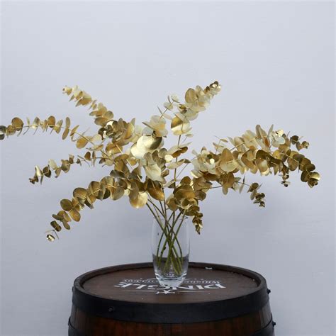 Gold Eucalyptus Cinerea Irish Green Guys