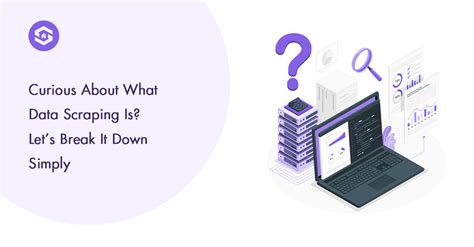 Data Scraping Explained Everything You Need To Know