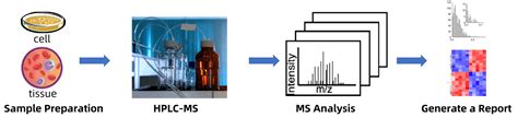 Lactose And Neolactose Analysis Service Mtoz Biolabs