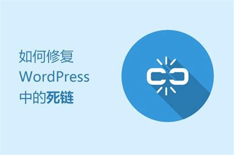 [小白指南]如何在wordpress中添加短代码shortcode 知乎