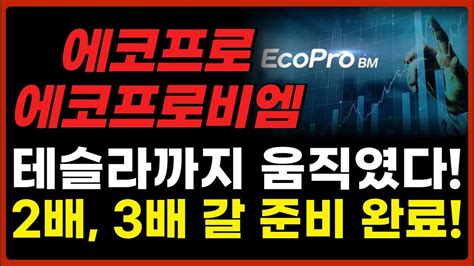 🔵에코프로비엠 오히려 추가 매수해야 할 때🔥 자신 있게 말씀드립니다 에코프로 에코프로비엠 에코프로주가전망 에코프로비엠주가전망 Youtube