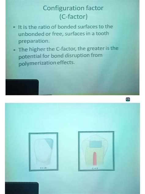 Polymerization Shrinkage Pdf