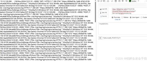 ctfshow web 78 88，web116 117 wp csdn博客