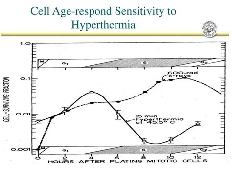 Ppt Cell Cycle And Radiosensitivity Powerpoint Presentation Free