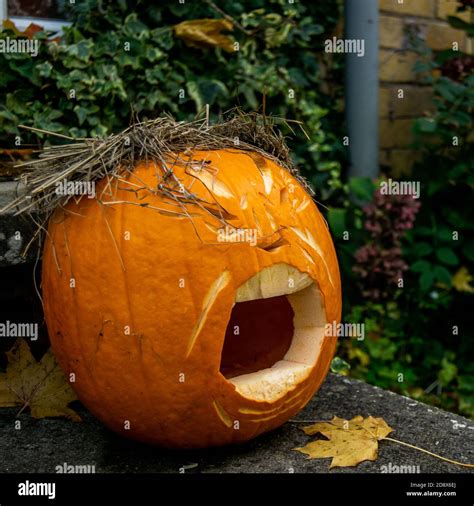Funny Pumpkin Halloween Wallpapers Halloween Pumpkins And Bats