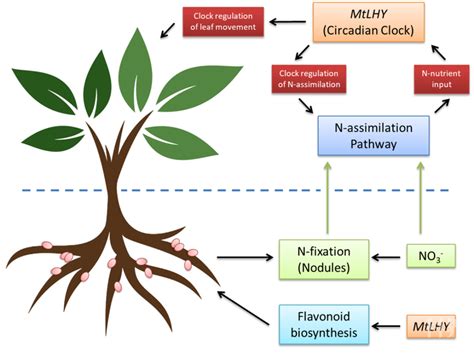 Wofost模型与pcse模型实践技术 知乎
