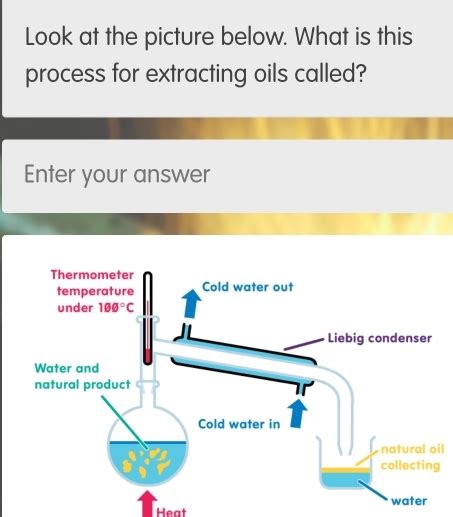 Solved Look At The Picture Below What Is This Process For Extracting