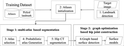 Automatic Segmentation Of Hip Ct Images Musculoskeletal Key