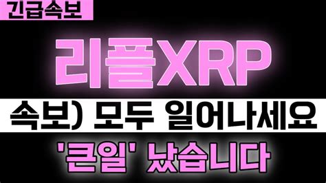 리플 Xrp 속보 모두 일어나세요 큰일 났습니다 리플 리플코인 리플대응 리플전망 리플승소 리플소송