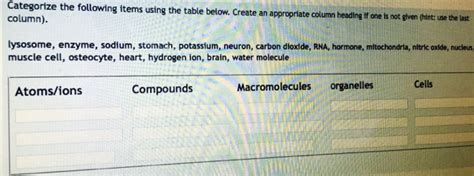 solved categorize the following items using the table below