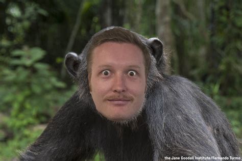 Solved How To Remove Weird Editing Line From Photo Adobe Community