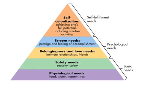 Basic Concept Of Self Actualization Library And Information Management
