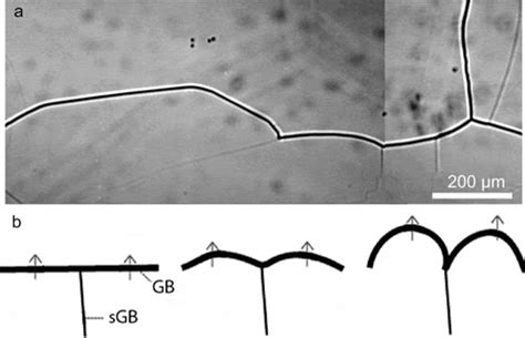 Evolution Of Ice Crystal Microstructure During Creep Experiments Journal Of Glaciology