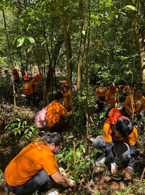 Planting 1200 Native Trees To Strengthen Sierra Madre Ecosystem
