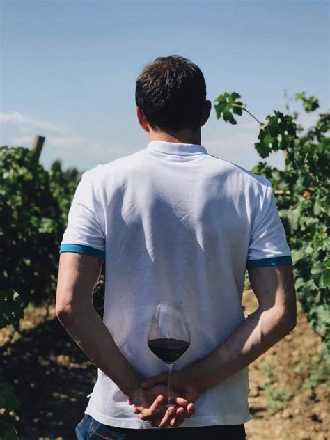 Wineme ვაინმი არ გამოტოვო თანამედროვე ქართული ღვინის მარანი